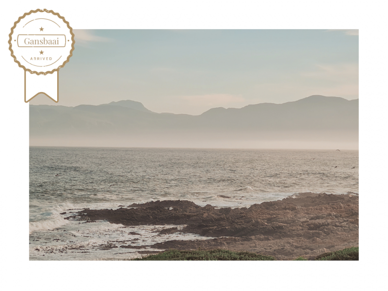 Gansbaai South Africa: A must visit oceanside town - The Good Life Chapter